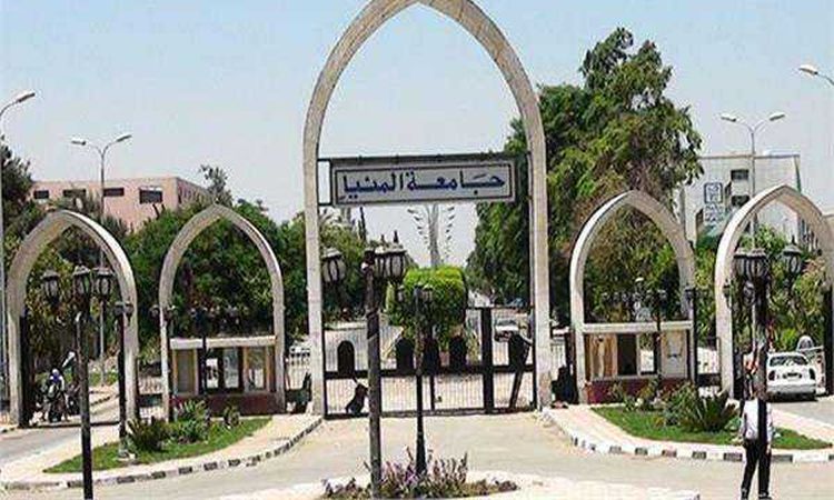 خطوات التقديم في المدينة الجامعية جامعة المنيا أهل مصر